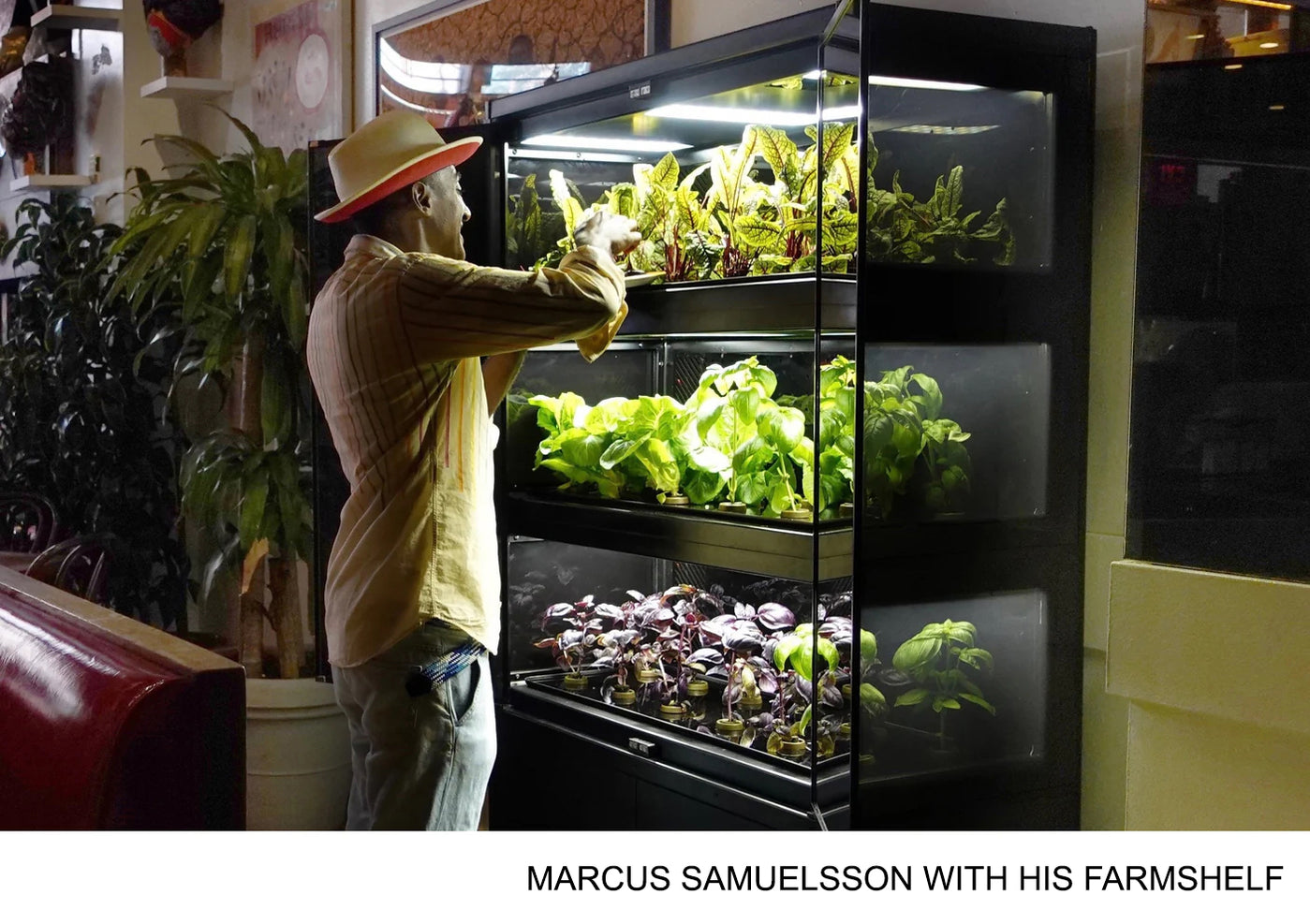 Best Indoor Hydroponic Garden | Vertical Farming and Growing System ...
